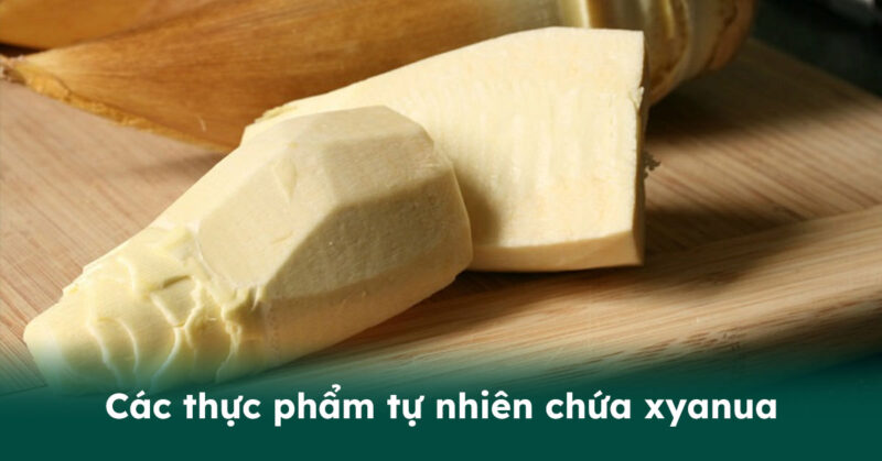 3 Loại Thực Phẩm Tự Nhiên Chứa Xyanua Cực Độc Nên Cảnh Giác